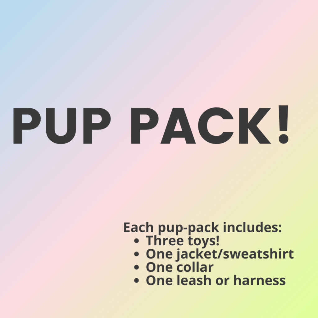 Store | PAWS New England