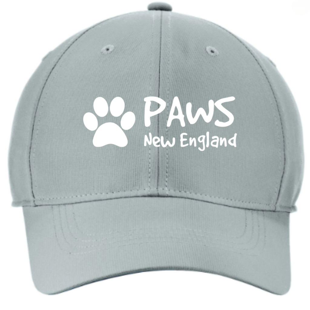Store | PAWS New England